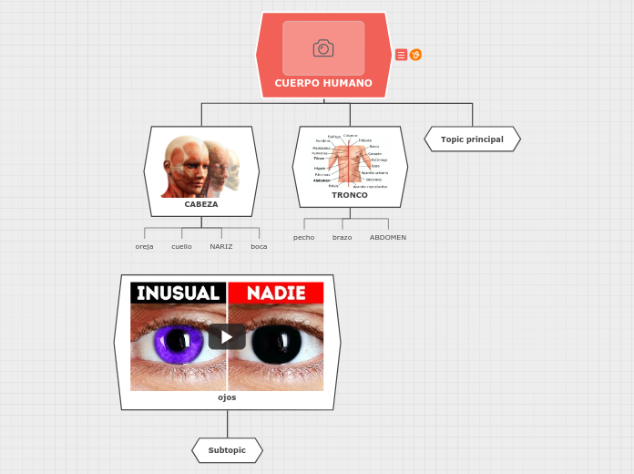 CUERPO HUMANO - Mind Map